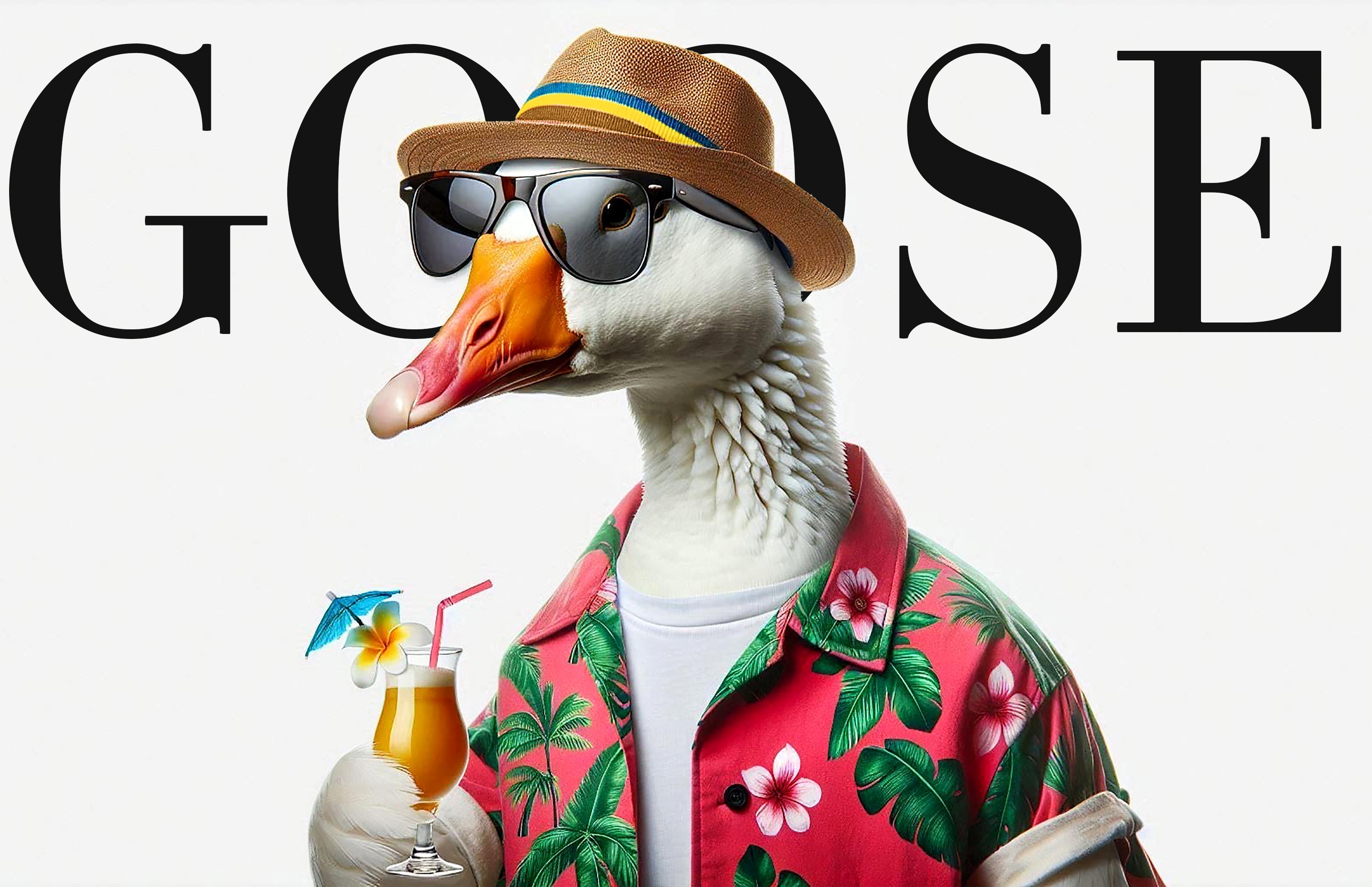 GOOSE Collection – MFH SHOP